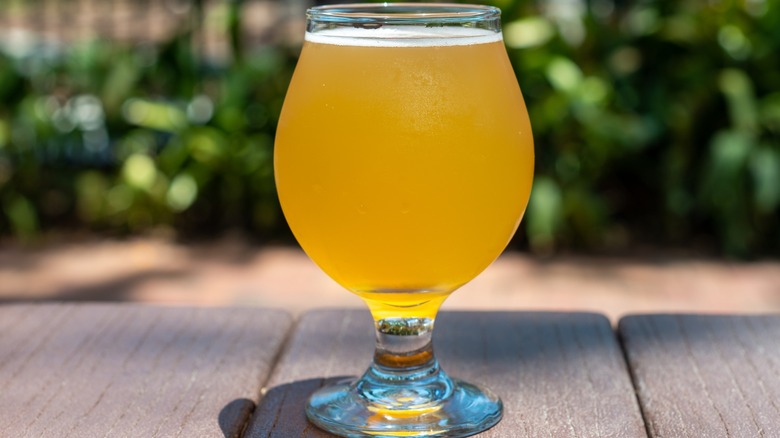 Pale Ale Vs. IPA: Everything You Need To Know