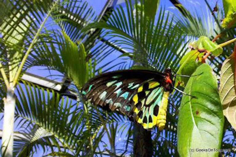 39 Unique Things to Do in Florida