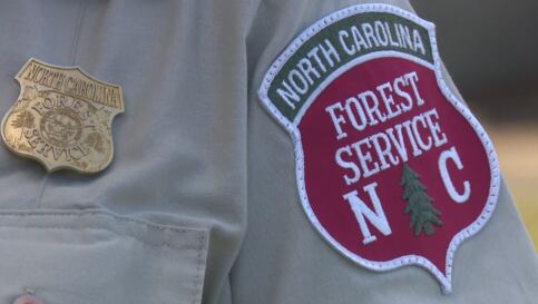 N.C. Forest Service: March wildfire count doubled this year despite ...