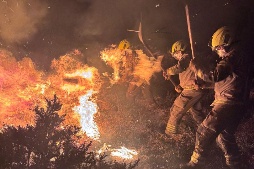 Police probe Bodmin Moor fires as public urged to come forward