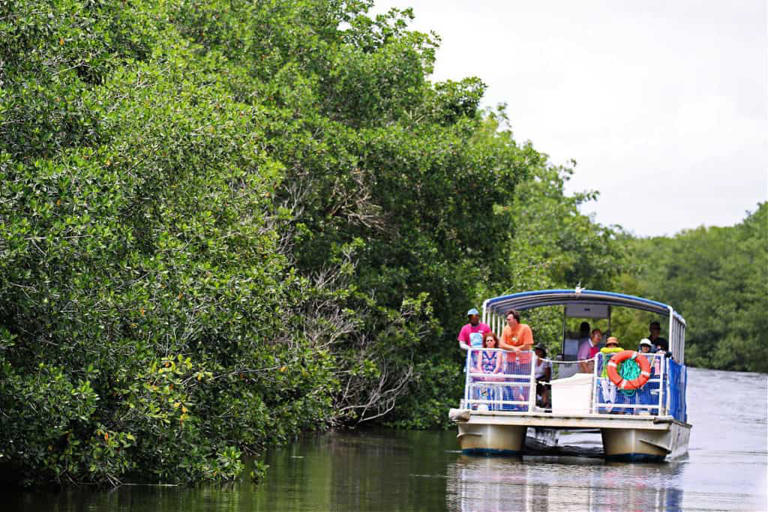 EVERGLADES NATIONAL PARK BOAT TOURS