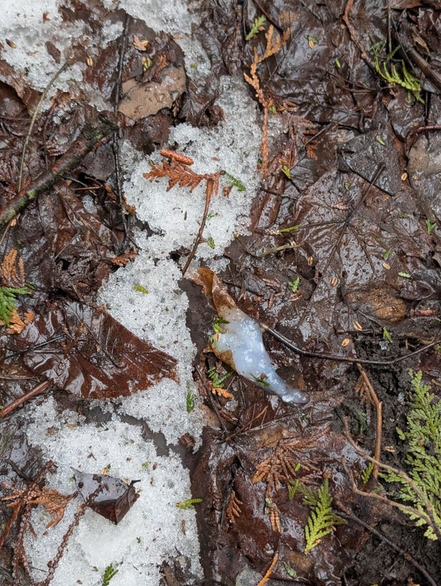 These 27 Weird Objects Would Never Have Been Identified Without The ...