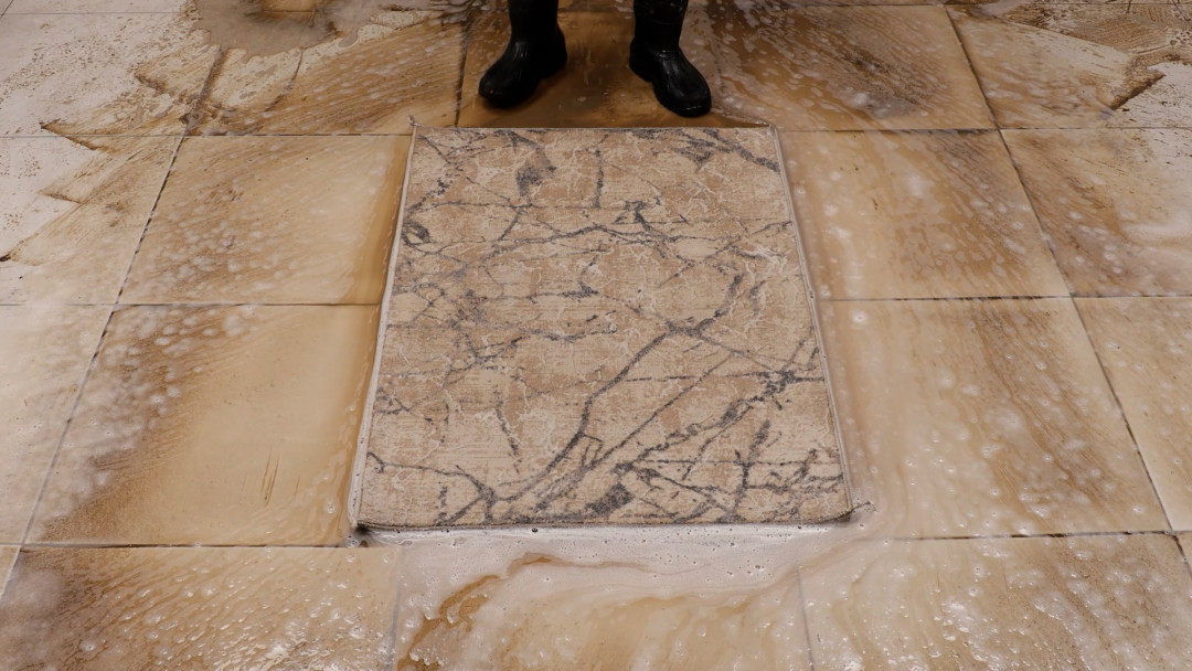 Satisfyingly Clean Your Dirty Rug