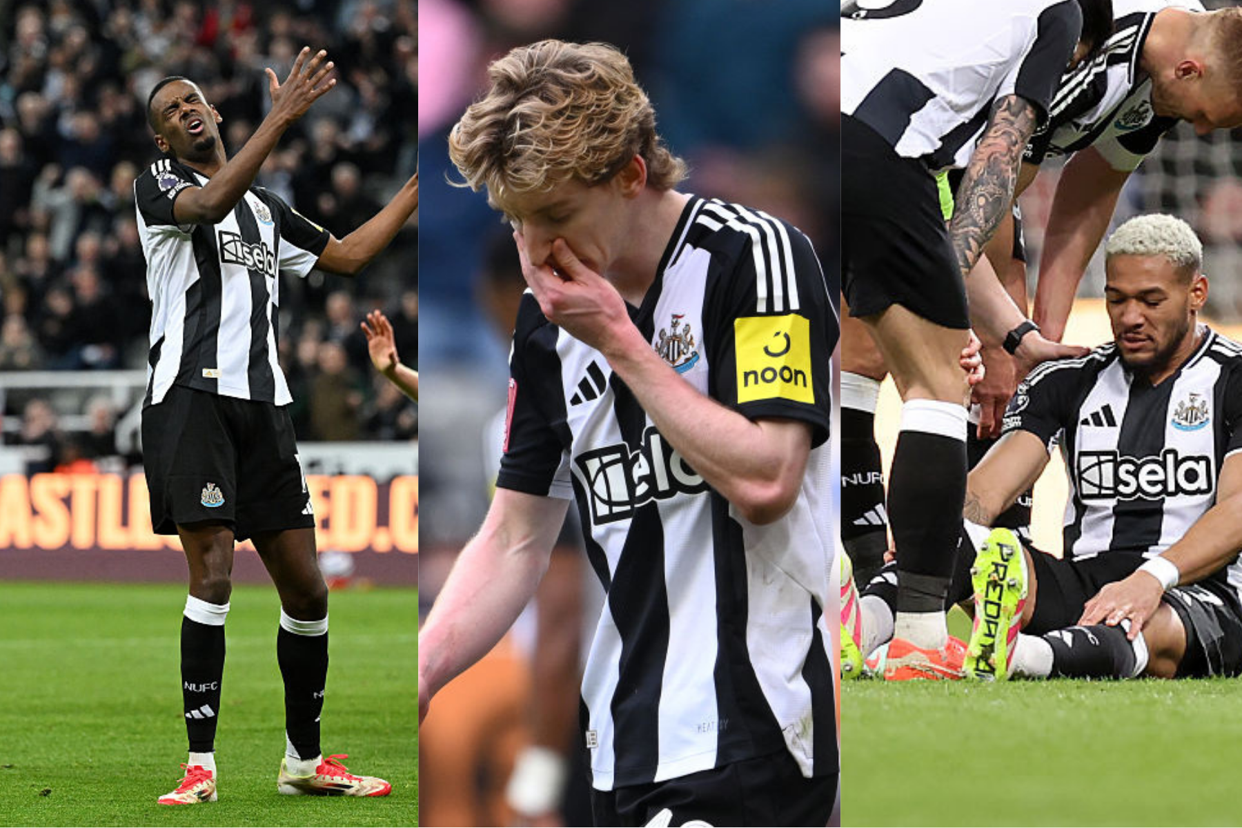 Alexander Isak, Anthony Gordon & Joelinton: Newcastle United injury ...