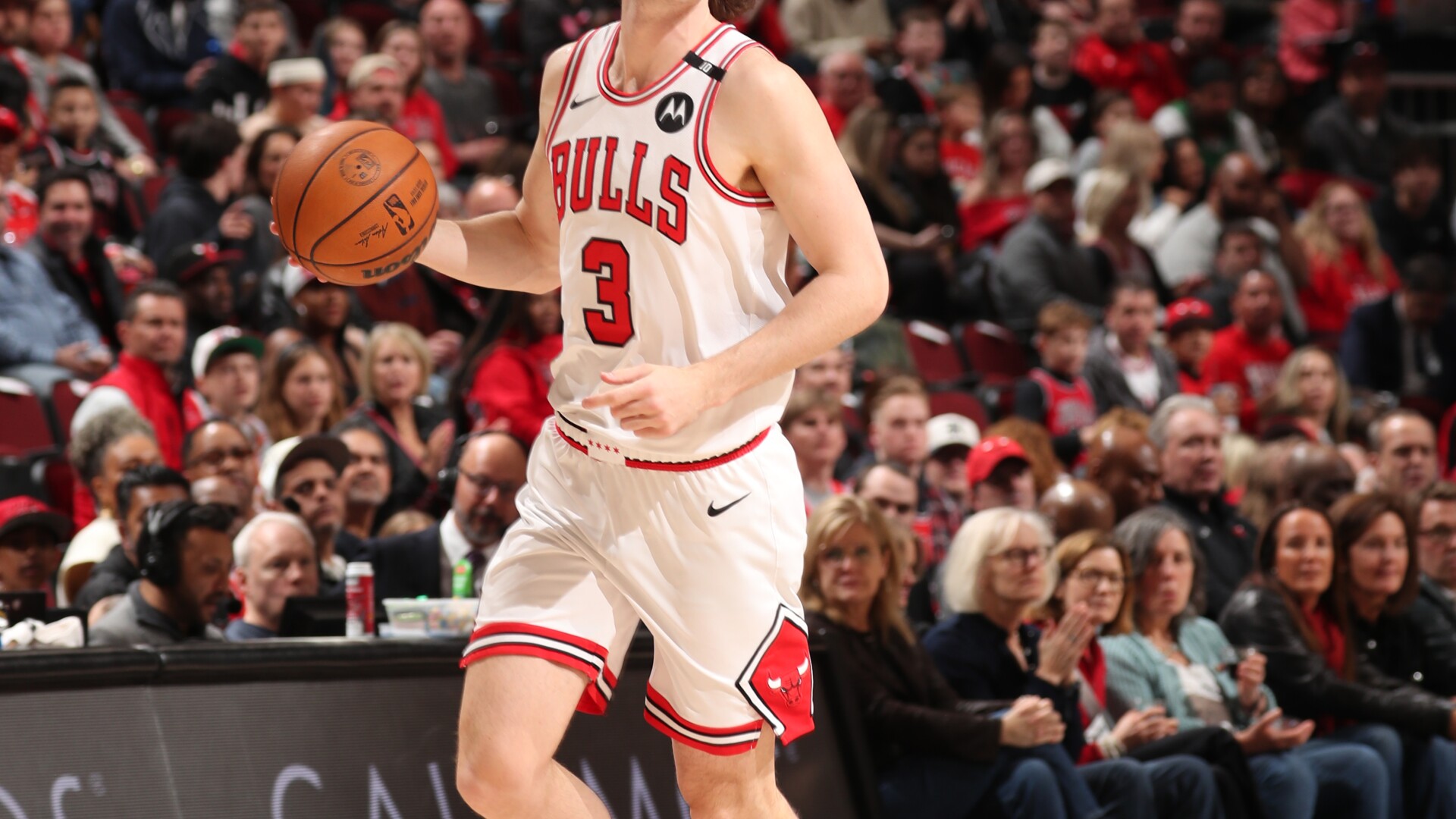 Bulls vs. Hornets Predictions: Odds, expert picks, recent stats, trends ...