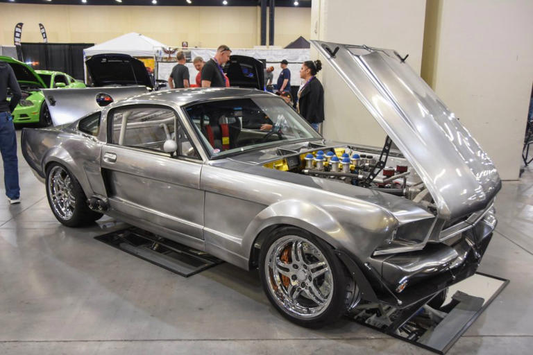 Mustang Madness at Ponies in the Smokies 2025