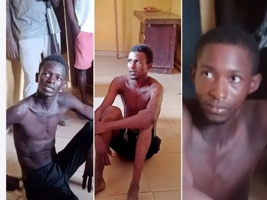 Benue: Police confirm arrest of gang members terrorising Otukpo communities