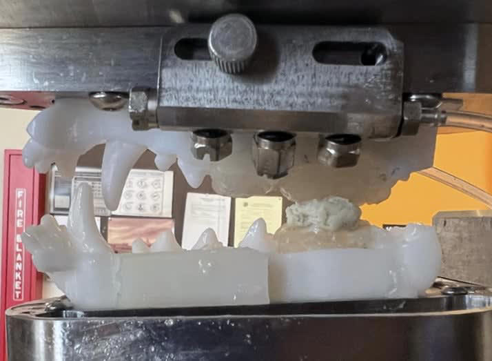 New antiviral chewing gum blocks influenza and other infectious diseases