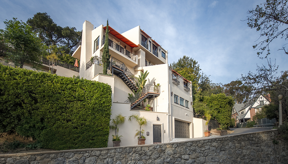 10 Ferret Breeds And Color Variants You Should Know