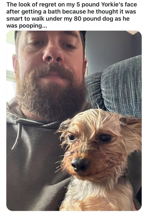 45 Funny And/Or Random Pictures For The Perfect Afternoon Scroll (April ...