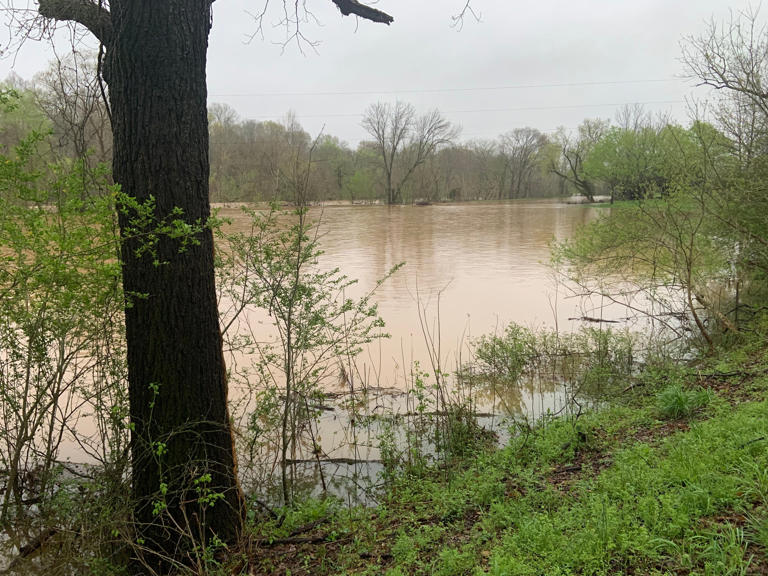 Around 3,000 outages reported in Davidson County as NES crews rush to ...