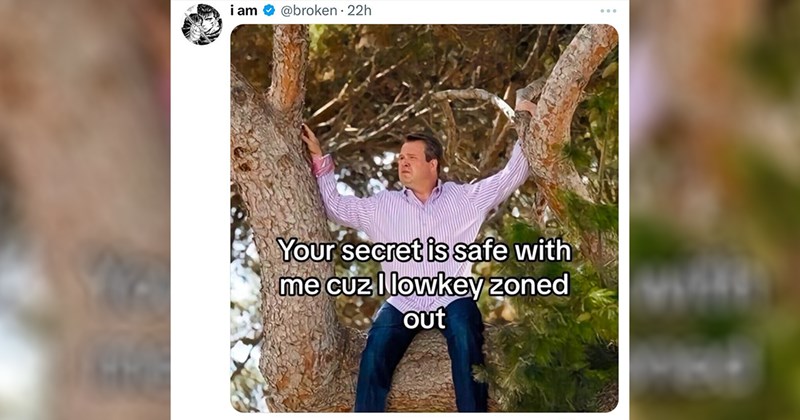 25+ Memes That Pull Their Weight