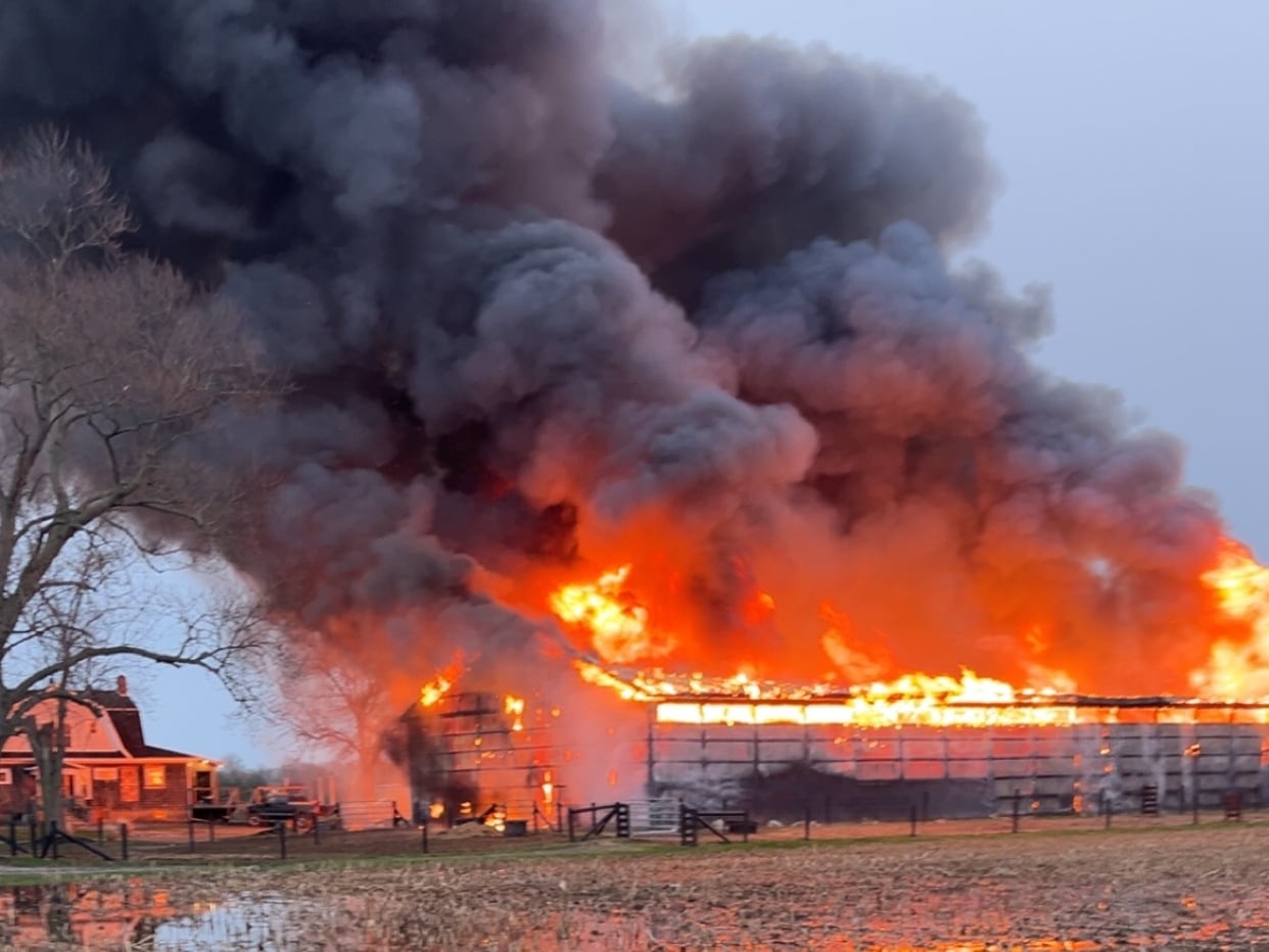 All animals rescued from massive barn fire that’s home to college ...