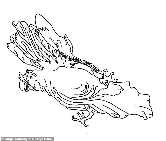 Mysterious Mars structures 'prove there was life on the Red Planet'