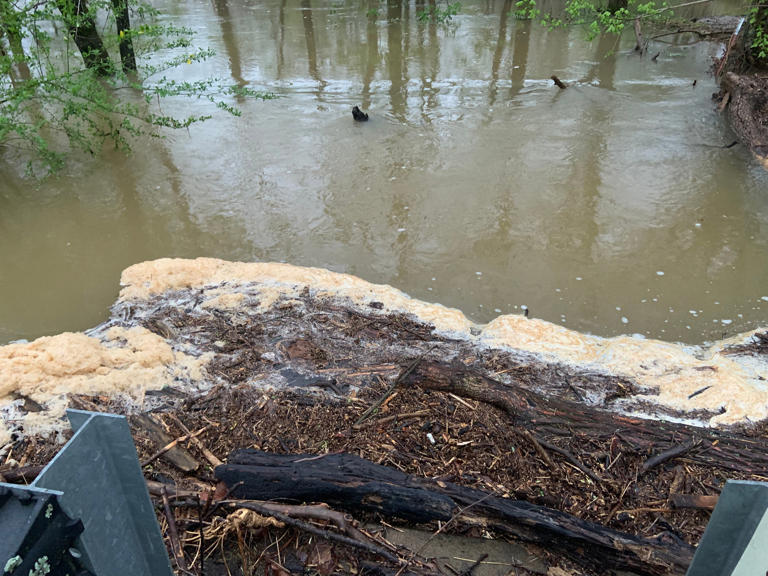 Around 3,000 outages reported in Davidson County as NES crews rush to ...