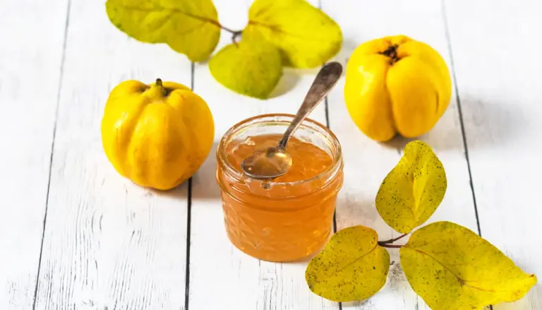Que faire avec des coings