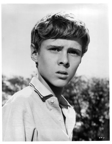 Jay North, “Dennis the Menace ”and “Maya” Child Actor, Dies at 73 ...