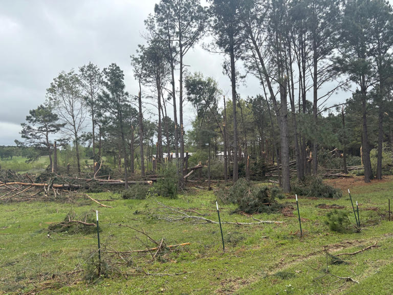 NWS surveys storm damage across East Texas