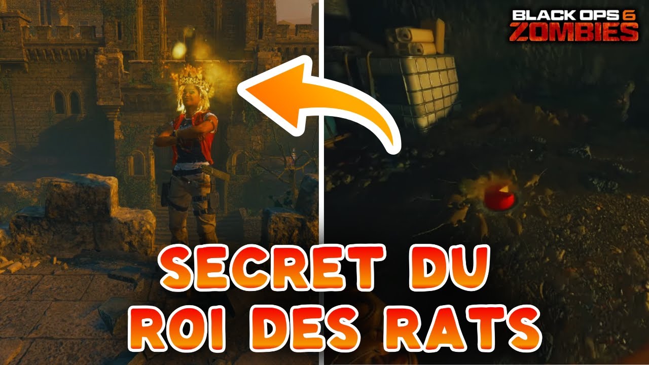 Le Secret du ROI des RATS