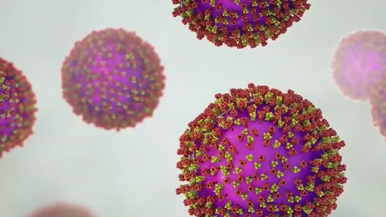 Texas measles outbreak: Second child dies from measles-related ...