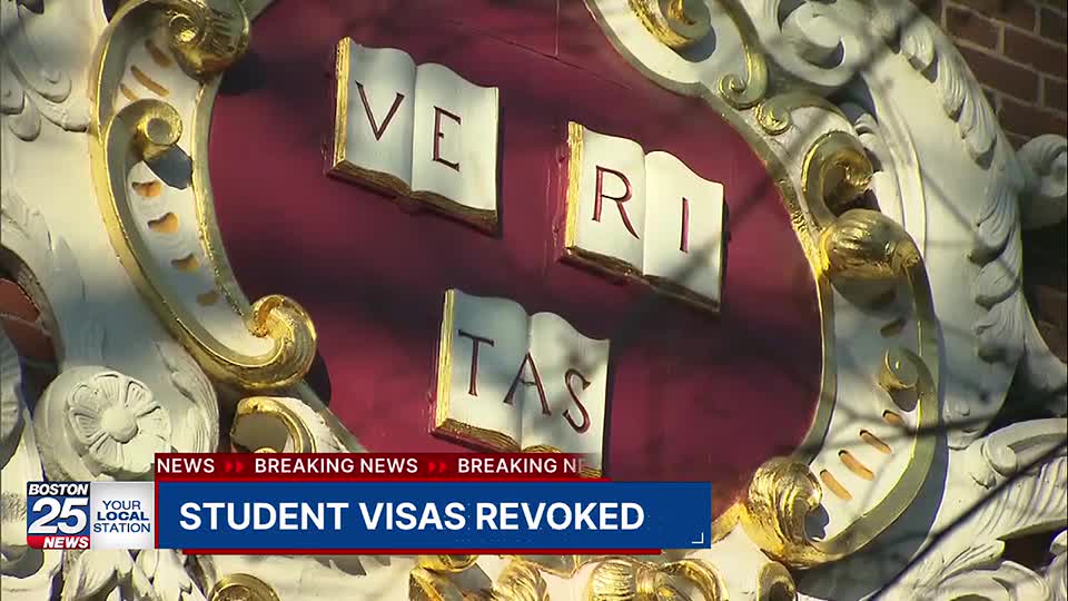 ‘Never heard of anything like it’: Student visas revoked across four ...