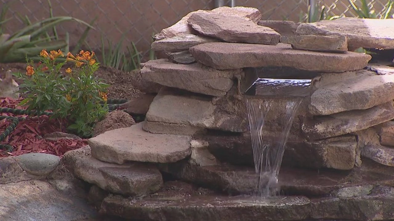 Cactus High School revamps its campus pond that serves several roles