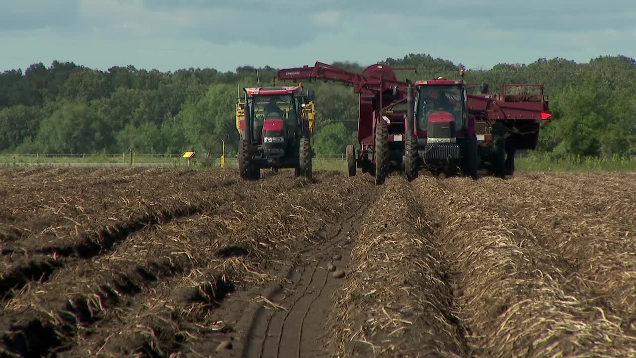 Minnesota soybean farmers concerned with escalating potential trade war ...