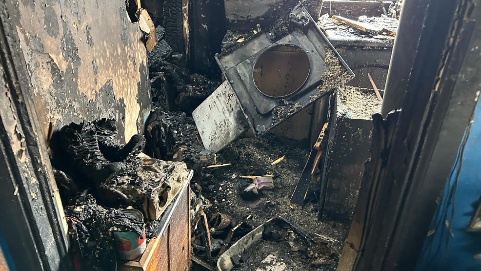 Two volunteer firefighters lose everything, including two dogs, in ...