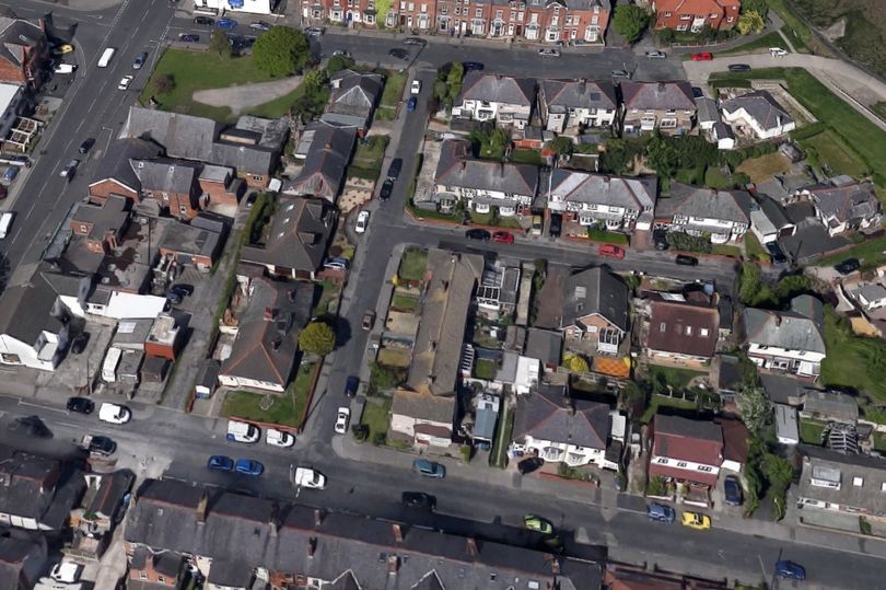 Dog shot dead by armed officers after attack leaves man with horrific ...