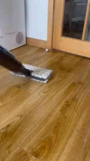 This Is Your Sign to Get a Steam Mop – You Won’t Believe the Difference!