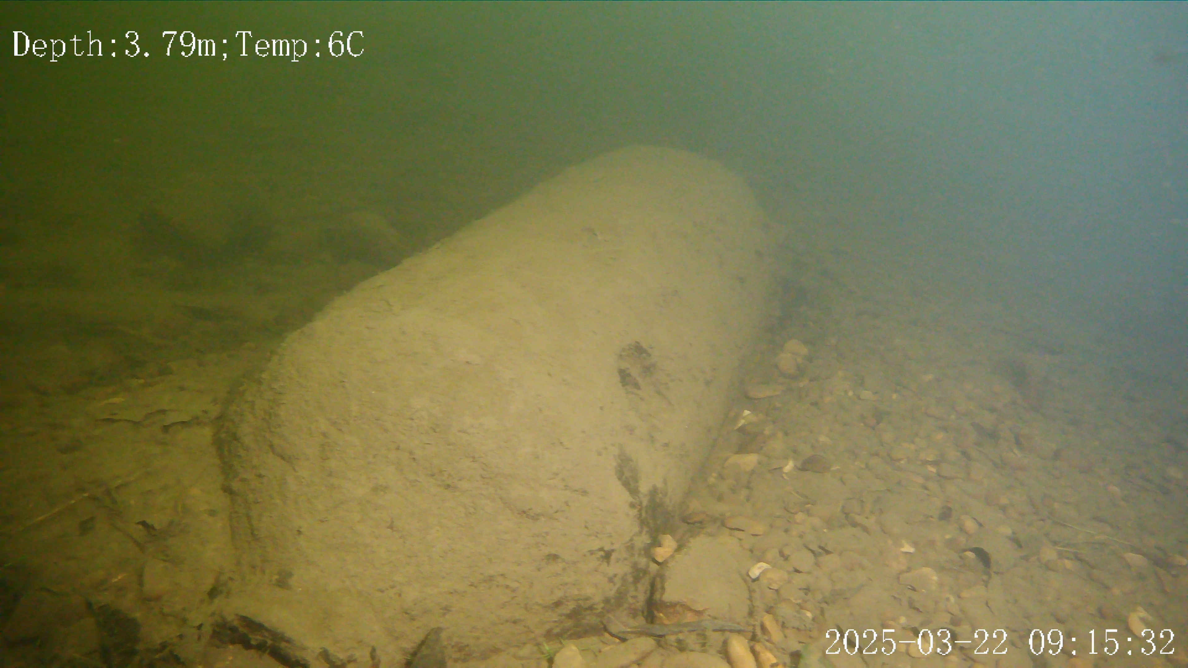 Watch: Moment teenager crashes underwater drone into live 500kg Second ...