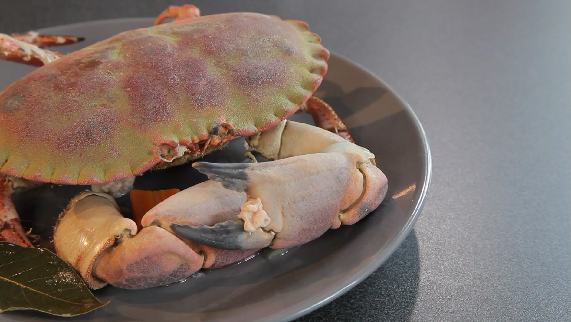 Comment cuire un crabe ? – Gourmand