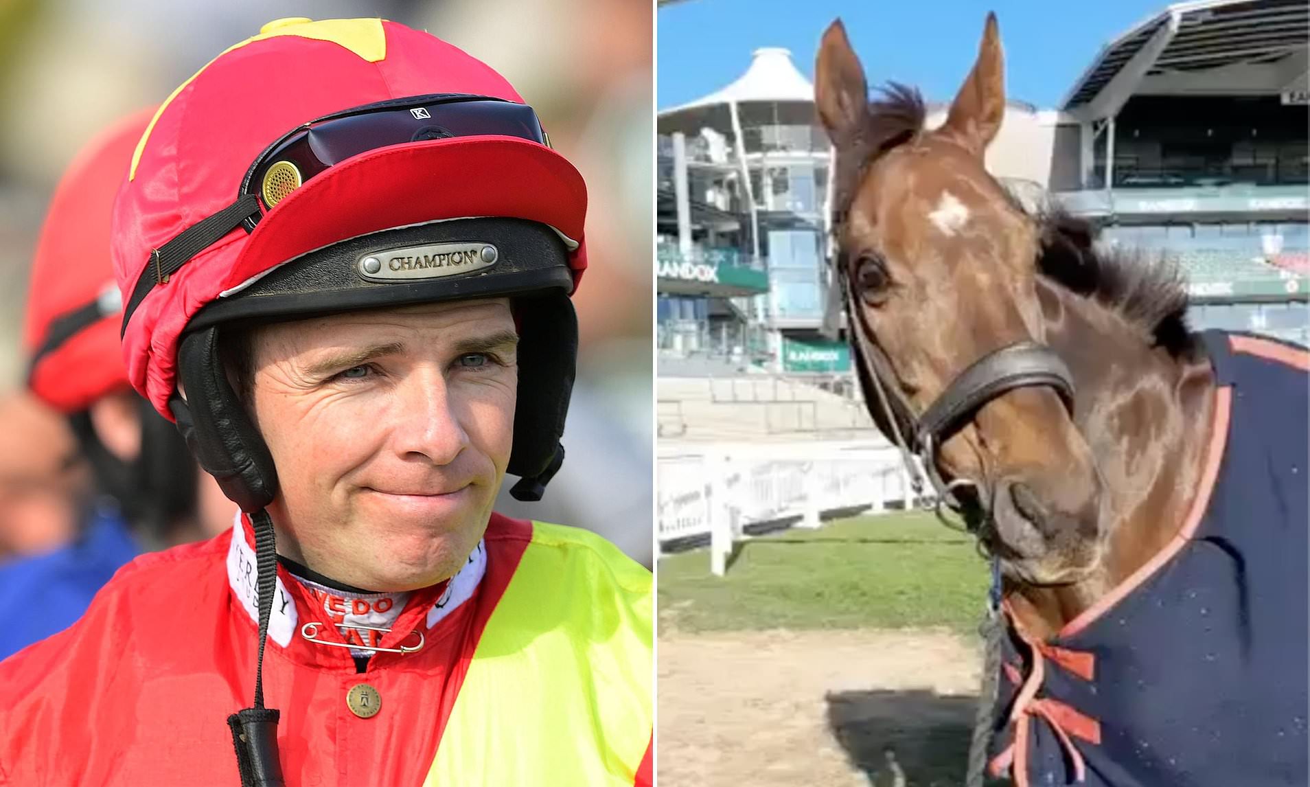 New footage reveals condition of Grand National horse which collapsed ...