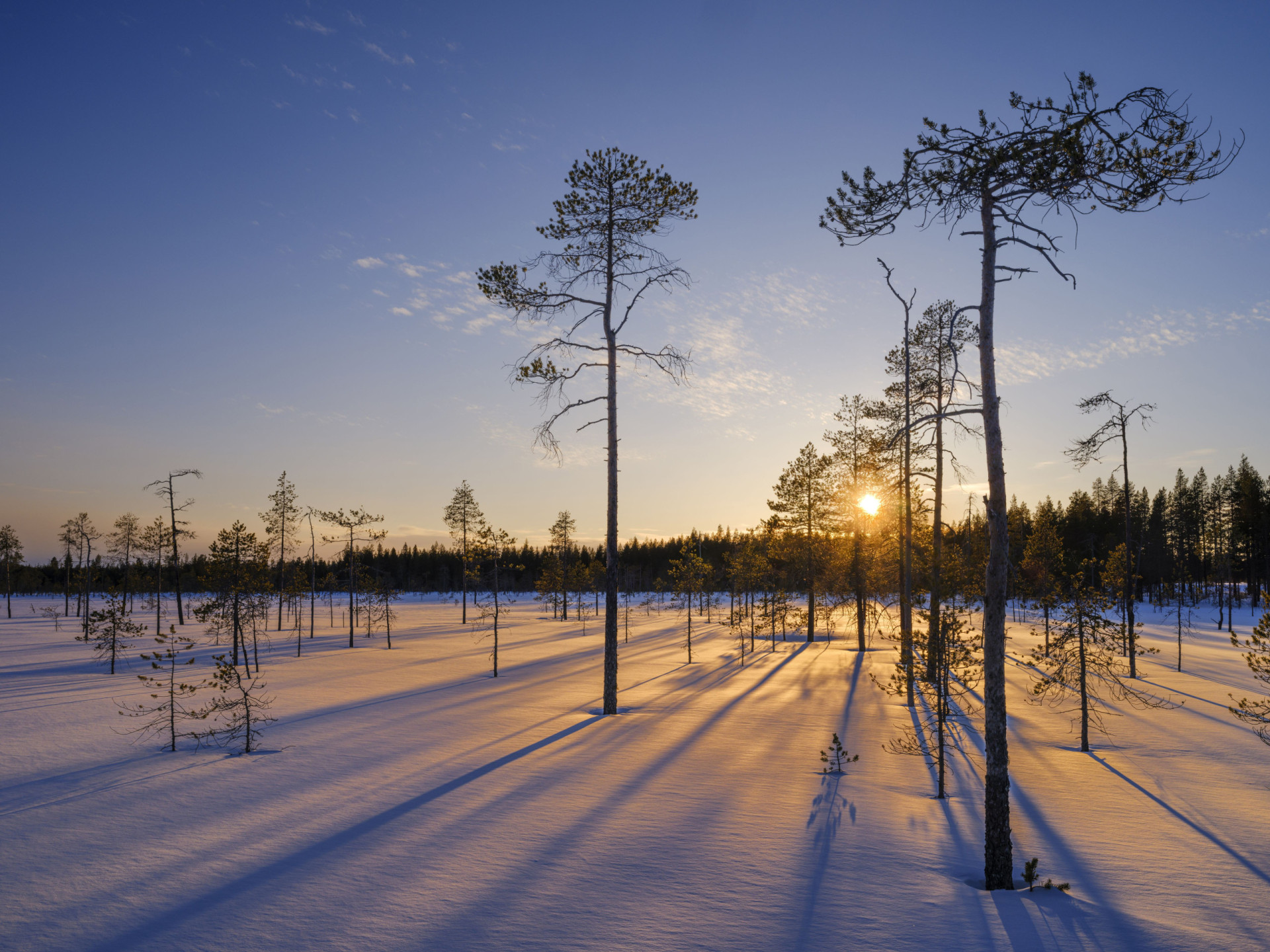 The Tunguska event: what happened in Siberia in 1908?
