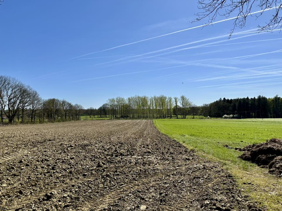 Weerman Samuel: "Persistent lenteweer, tegen dan wordt het weer 20°C"