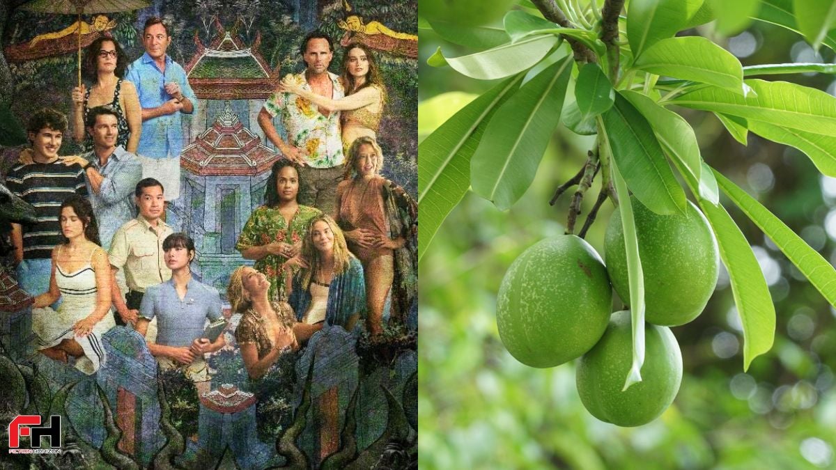 ‘The White Lotus’ Poison Fruit Is Real: Meet Cerbera Odollam, the ...