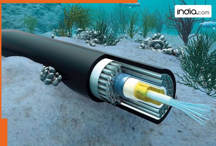Deep Sea Cables, Digital Dreams: India’s Growth Tangled in Red Tape