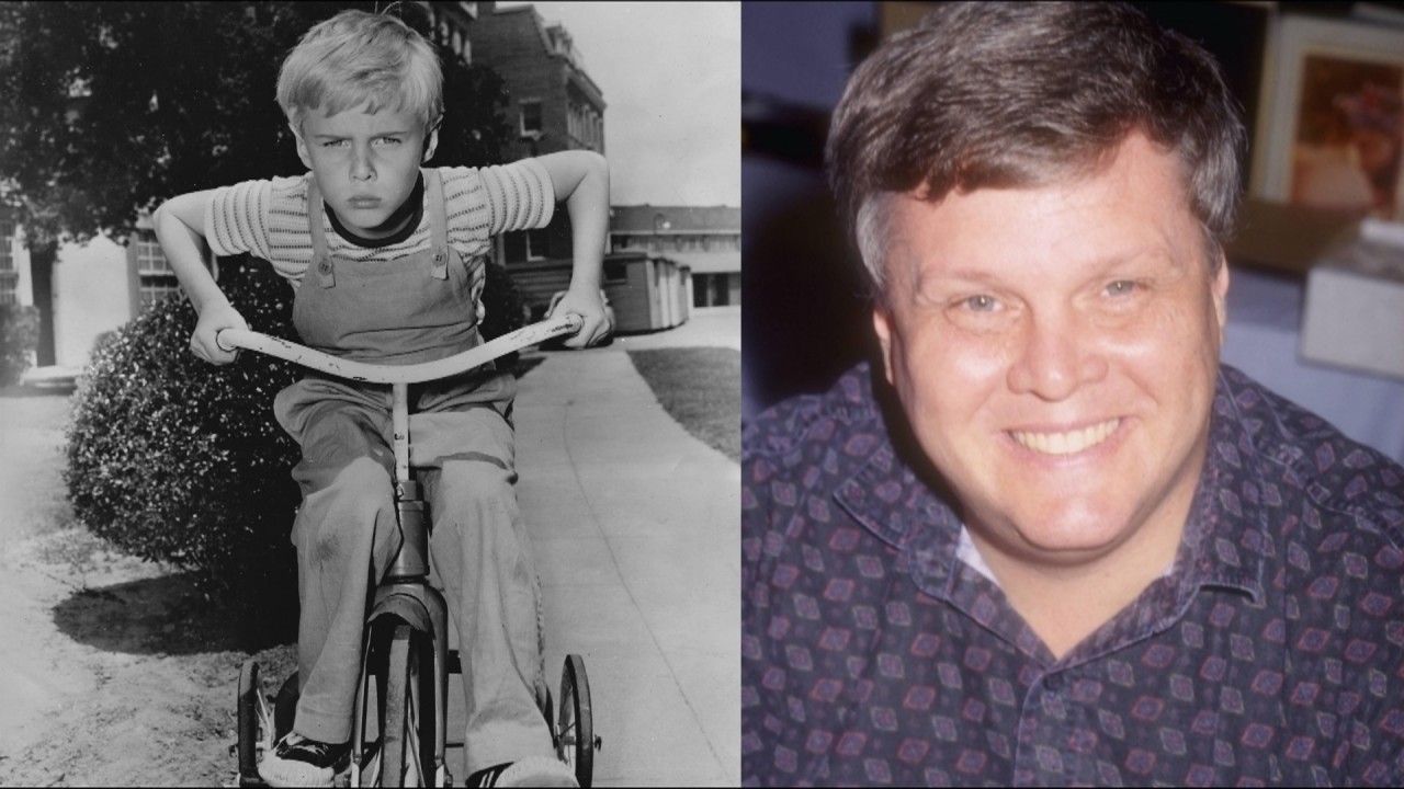 Ehemaliger Kinderstar: Schauspieler Jay North im Alter von 73 Jahren verstorben