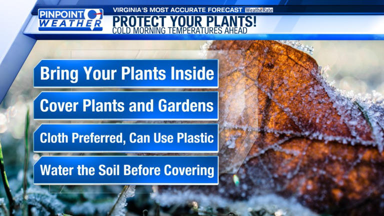 Pinpoint Weather: Showers likely Monday, cooler midweek