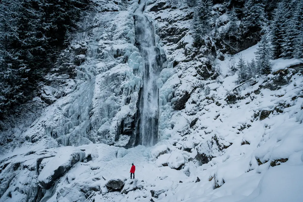 13 Times Human Remains Were Found In The Wild & Solved Chilling Cold Cases