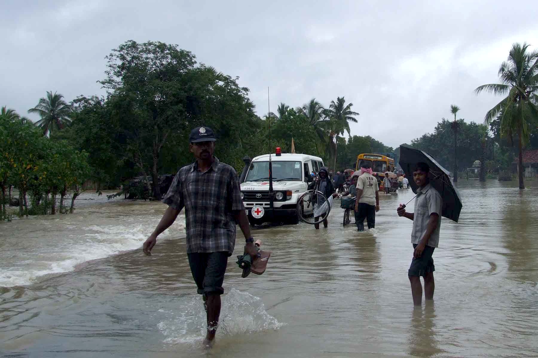 Climate-Induced Migration Patterns Reshape Global Demographics