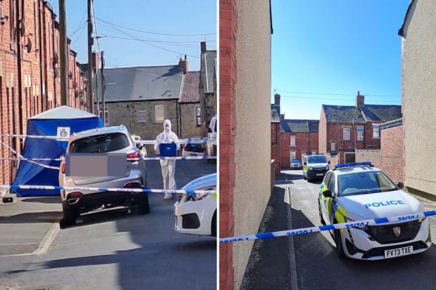 Latest photos as crime scene investigators probe Stanley 'shooting'