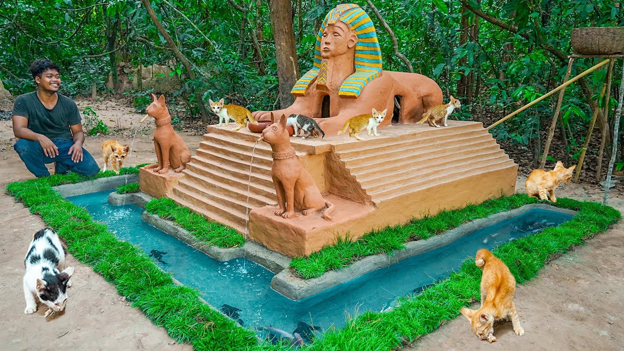 The rescue cat who now lives like a pharaoh in a hand-built pyramid home