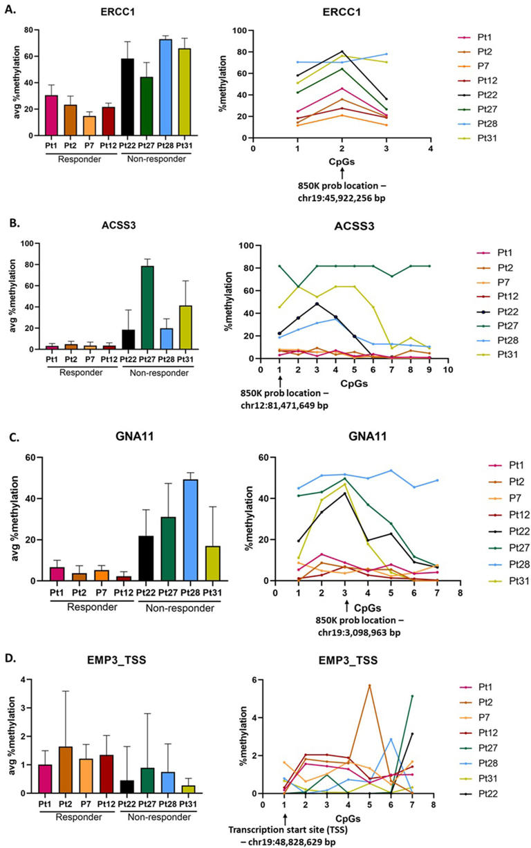 Breakthrough provides potential for precise melanoma treatment