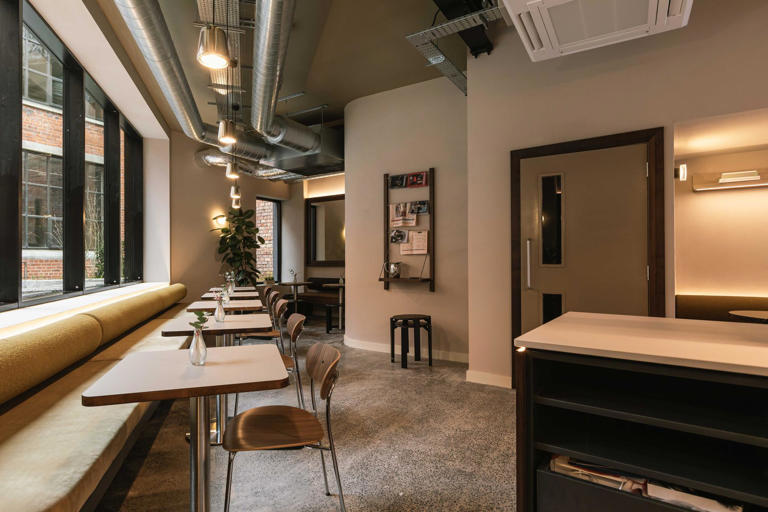 'From senior global positions with Meta and TikTok to creating a coffee powerhouse with Nine ...