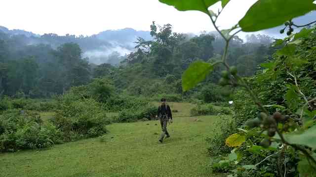 J’ai mangé ce que la jungle m’a offert pour survivre