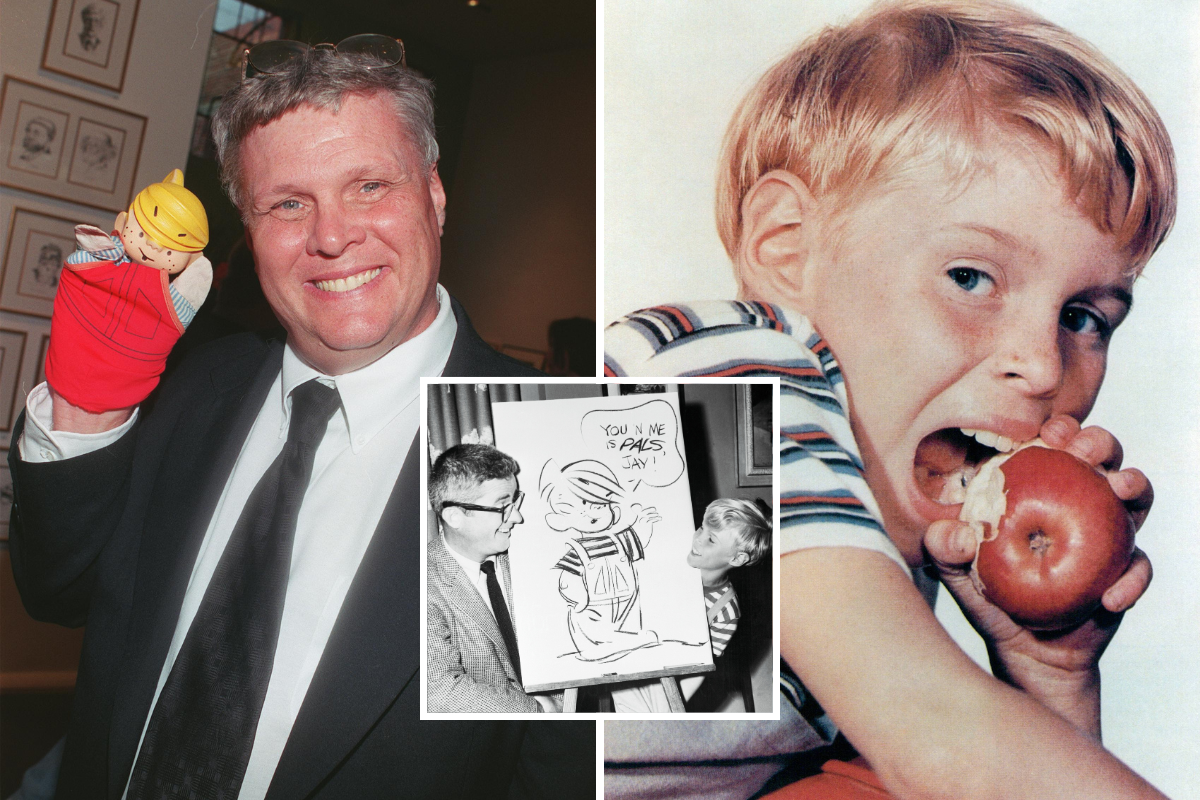 'Dennis the Menace' Star Jay North's Cause of Death Revealed