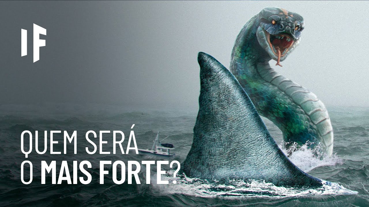 Quem pode vencer o megalodonte?