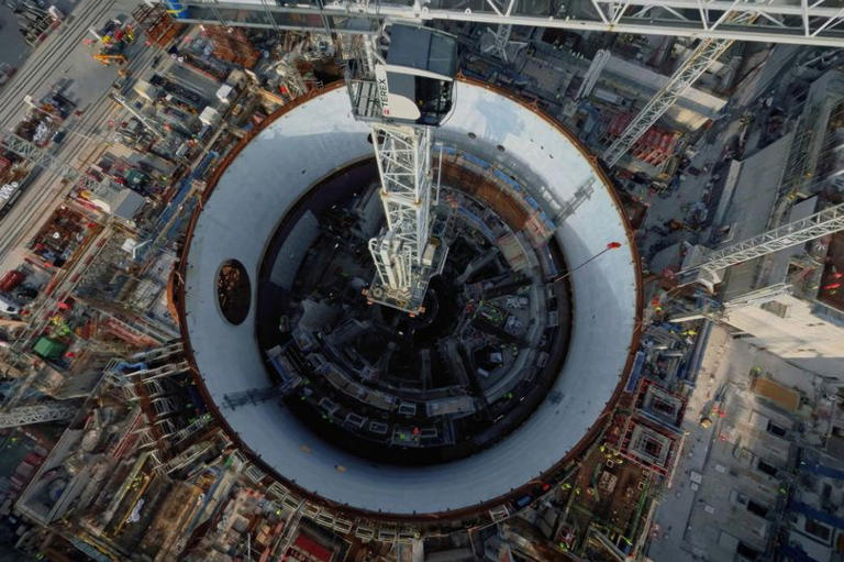 Fearless nuclear rats swarm UK power plant 'staring out' workers on ...