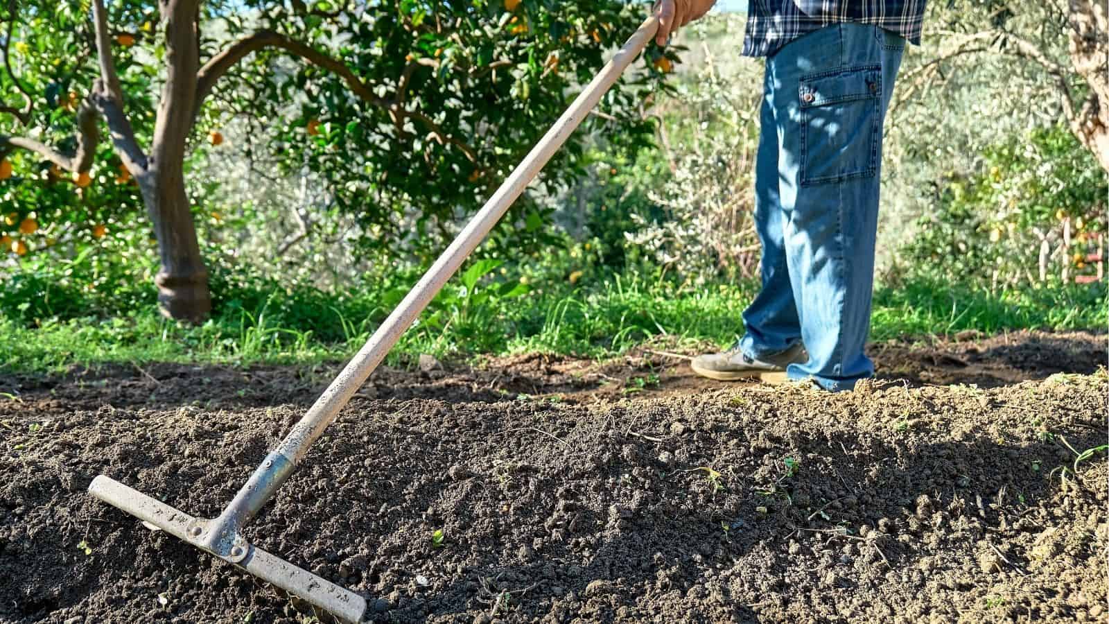 10 Things Every Gardener Should Do Before Spring Ends